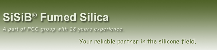 Fumed Silica | Organofunctional Silane - SiSiB SILICONES